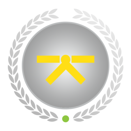 Mastering Lean Six Sigma: A Guide to Belt Rankings | Pyzdek Institute