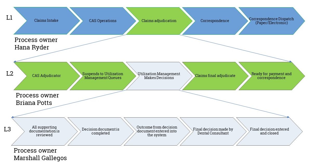 Manual Reviews of Medicaid Claims | Pyzdek Institute